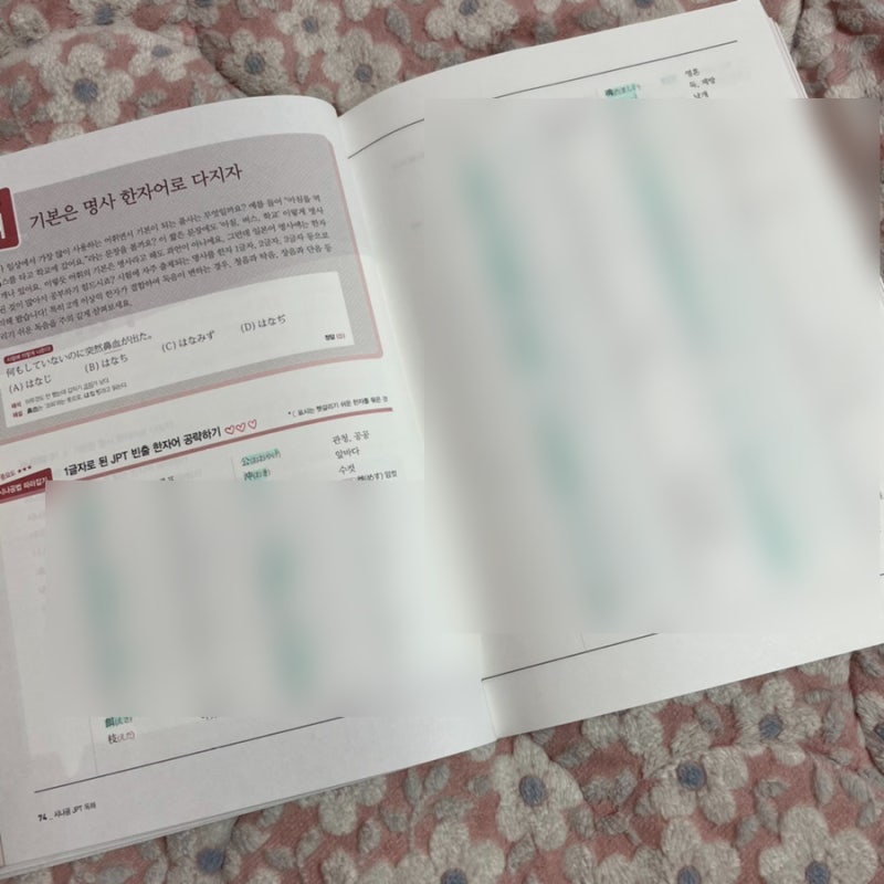 [일본어] JPT 600점 독학 후기 + JLPT와 비교 (JLPT N2만 2년 공부한 사람의 후기😭) : 네이버 블로그