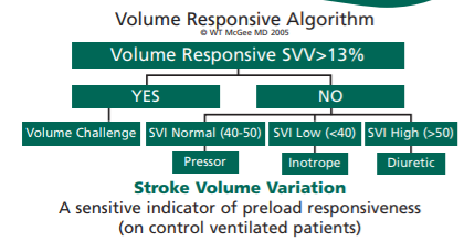 [Hemodynamic monitoring/CCO monitoring/Vigileo/EV1000] CO, CI, SVV,SVI ...