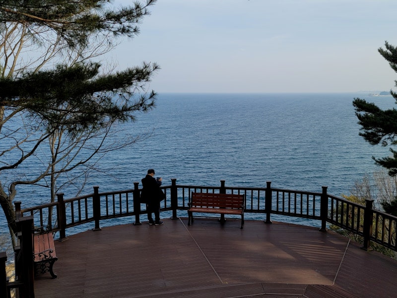 양양 인구해변 죽도정 전망대 죽도암 산책 및 죽도해변 서핑 네이버 블로그