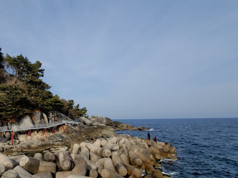 양양 인구해변 죽도정 전망대 죽도암 산책 및 죽도해변 서핑 네이버 블로그