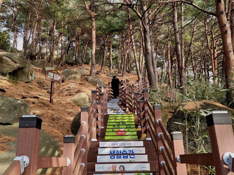 양양 인구해변 죽도정 전망대 죽도암 산책 및 죽도해변 서핑 네이버 블로그