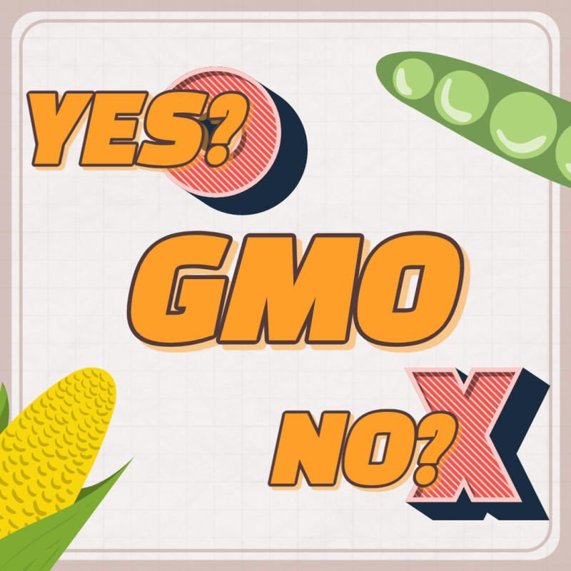 GMO 식품 ,우리의 일상에 미치는 영향은? : 네이버 블로그