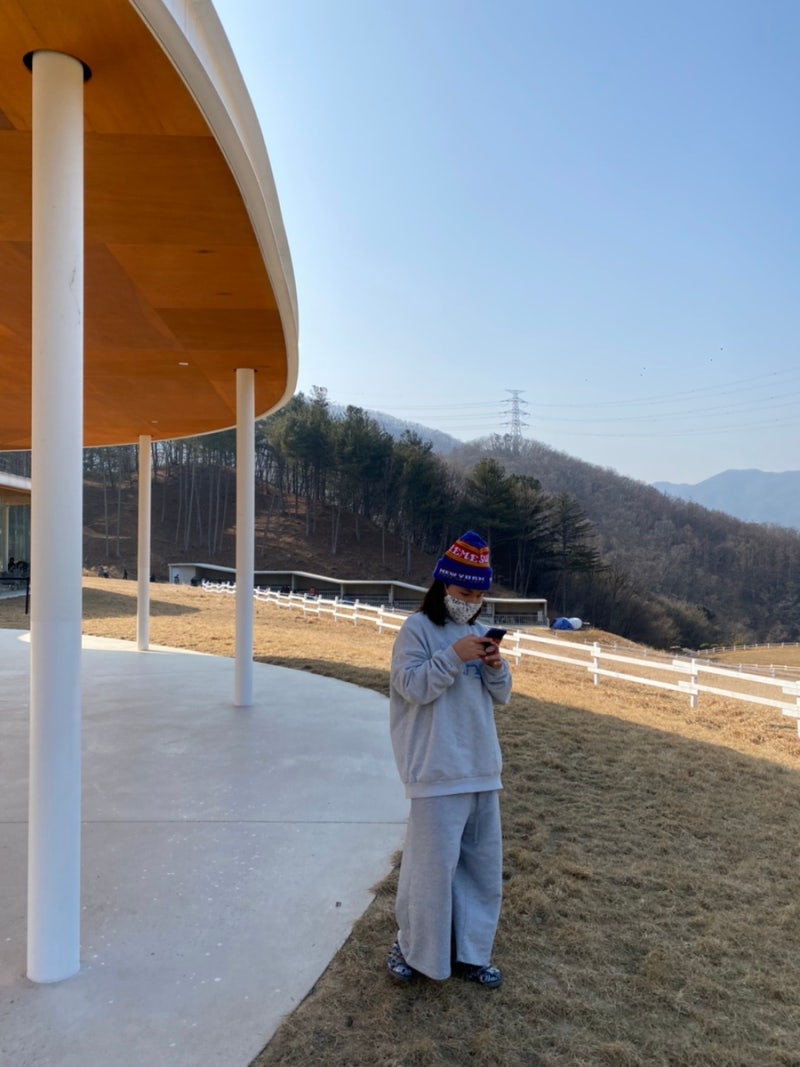 가평 클라우드힐 가평양떼목장 네이버 블로그