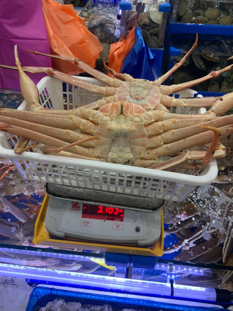수원 농수산물 도매시장회센터맛집대명수산서해수산에서 대게상차림 먹고옴 네이버 블로그