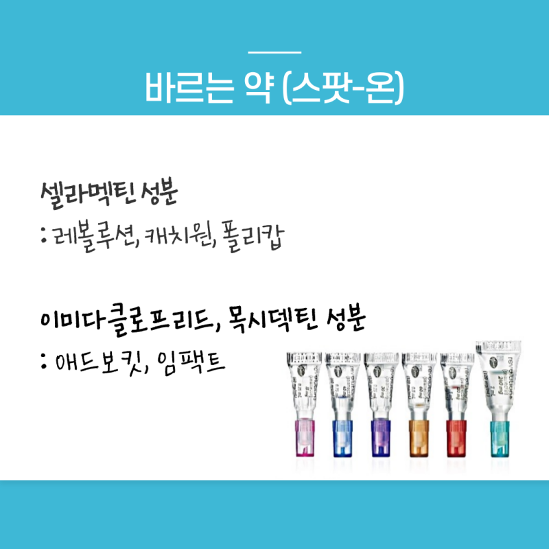 큐어벳 약이야기 강아지 심장사상충약 선택 꿀팁 타입별 비교 분석레볼루션 애드보킷하트가드넥스가드 네이버 블로그