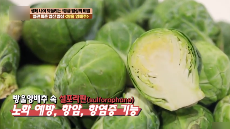 미니 방울 양배추 브뤼셀 스프라우트 효능과 먹는법 네이버 블로그