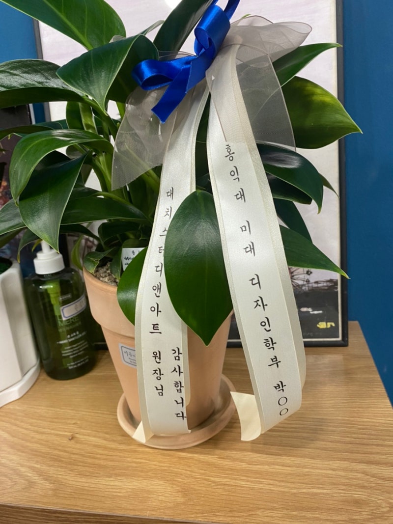 미대 비실기 대치스터디앤아트 2021학년도 홍익대학교 입시결과 홍대 미대입시 홍익대학교 미술활동보고서 면접 생기부