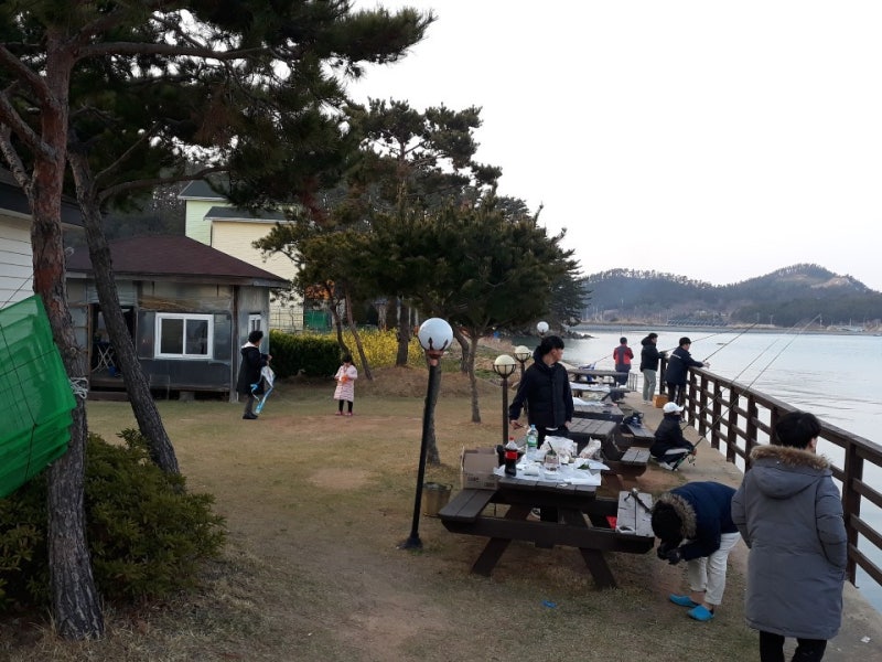 태안 오션뷰 펜션 숙소 갯벌체험낚시 가능한 오투오션 추천 네이버 블로그
