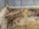CIP (Cast in place concrete pile wall) : 네이버 블로그