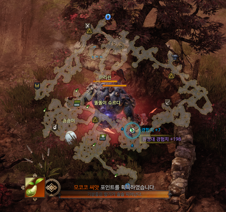 2 루테란 동부 모험의서 총정리 배꽃나무 자생지 흑장미교회당 교회당지하 모험의서와 모코코 정보 한방에 정리