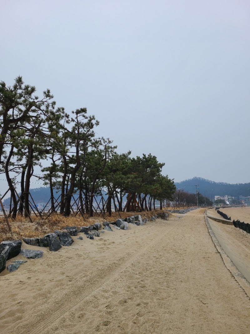 군산 가볼만한 곳 군산 선유도 해수욕장명사십리 해수욕장 네이버 블로그
