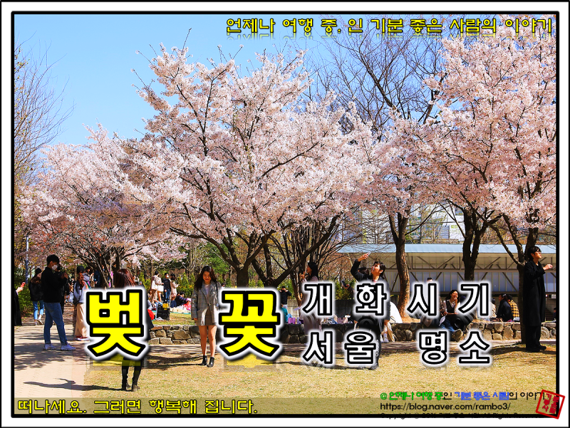 2021 벚꽃 개화시기 서울 벚꽃 명소 여의도 한강공원 윤중로 벚꽃길 서울숲 석촌호수 랜선여행 네이버 블로그