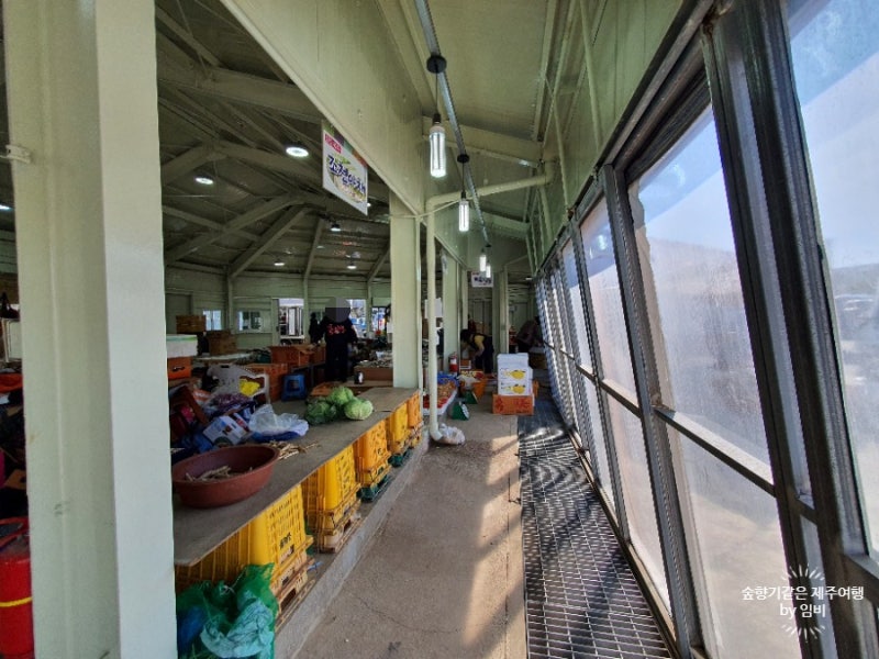 제주 함덕오일장 날짜와 시간까지 꼭 확인 하고가세요 Feat함덕해수욕장 네이버 블로그