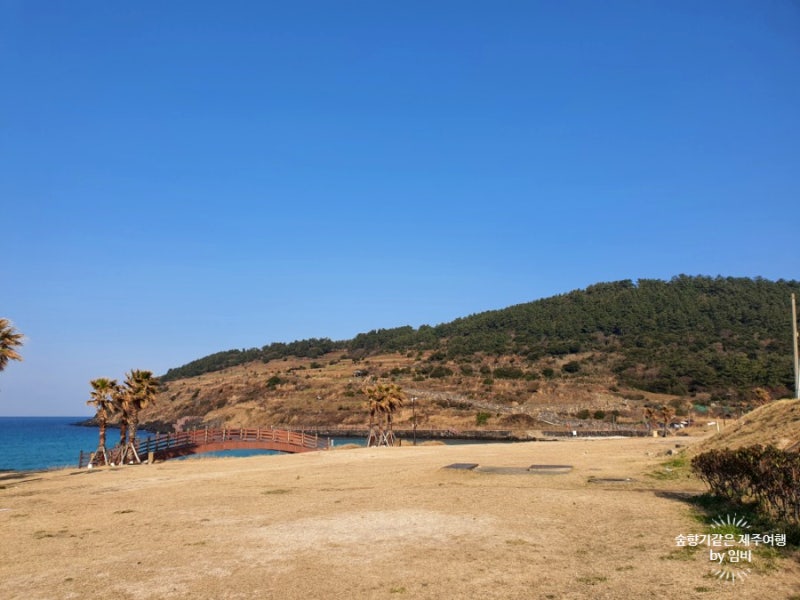 제주 함덕오일장 날짜와 시간까지 꼭 확인 하고가세요 Feat함덕해수욕장 네이버 블로그