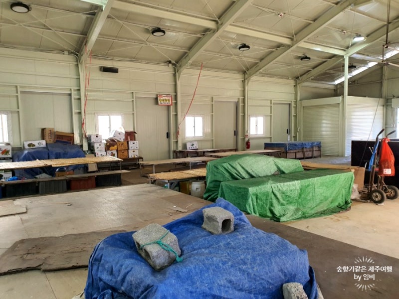 제주 함덕오일장 날짜와 시간까지 꼭 확인 하고가세요 Feat함덕해수욕장 네이버 블로그