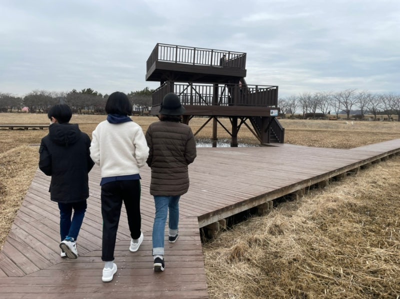 시흥 갯골생태공원 주말 가족 휴식터로 좋은 장소 여기도 봄이 오겠지 네이버 블로그