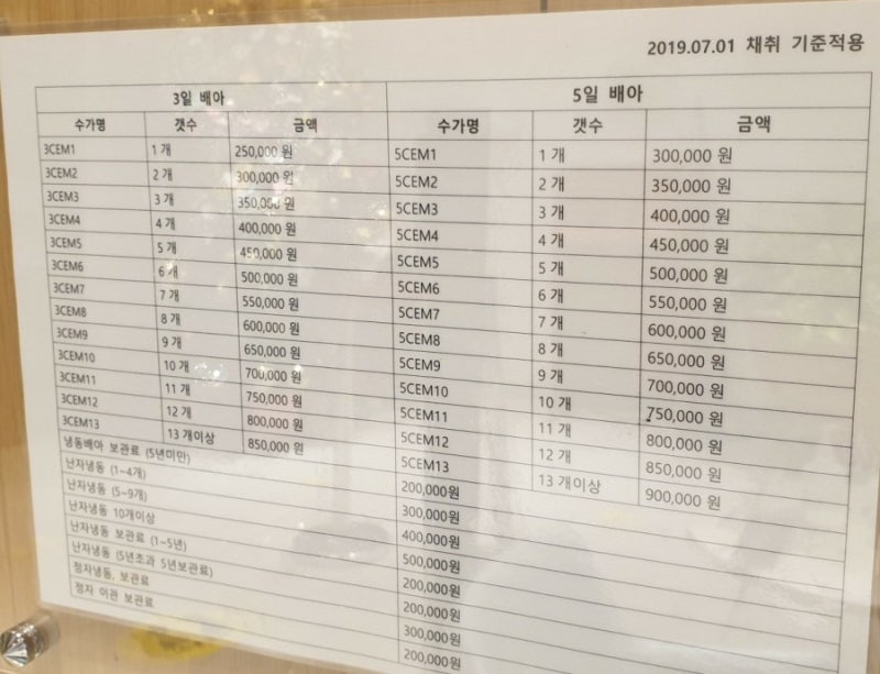 시험관1차 시험관 신선1차 냉동배아 등급결과 냉동보관비용 최상급배아 중상급배아 3일배양 5일배양 6일배양