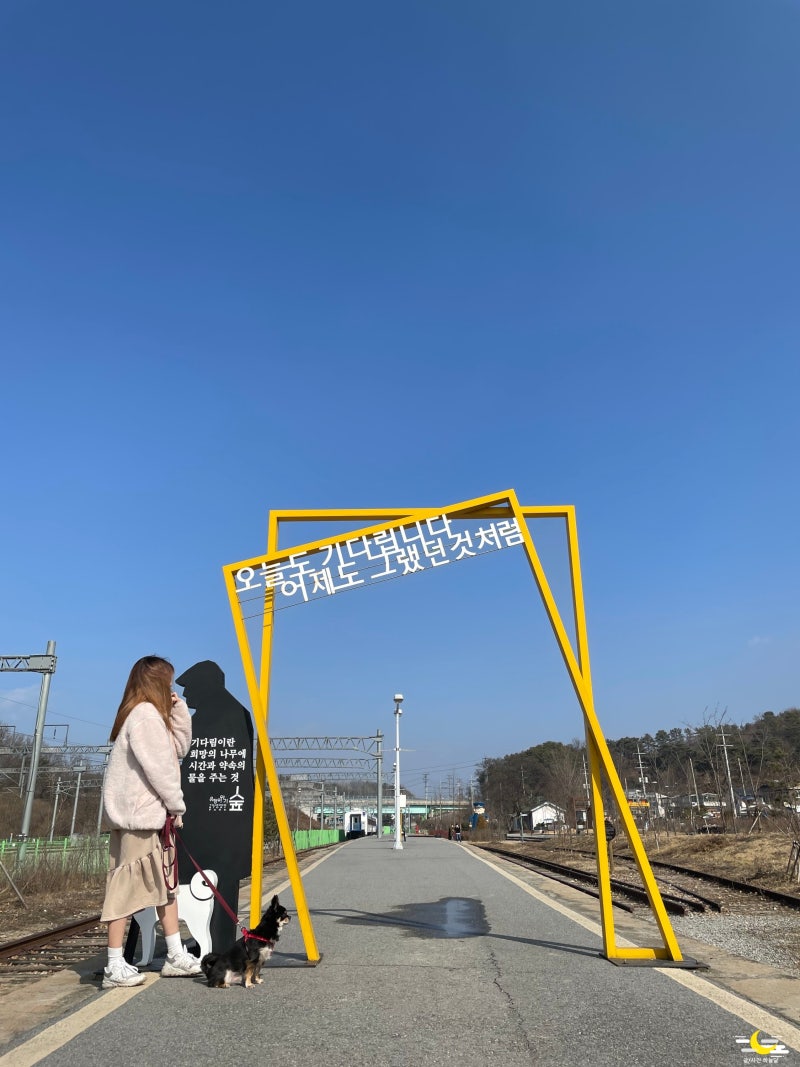 3월여행지춘천애견동반여행춘천여행춘천가볼만한곳김유정역 네이버 블로그