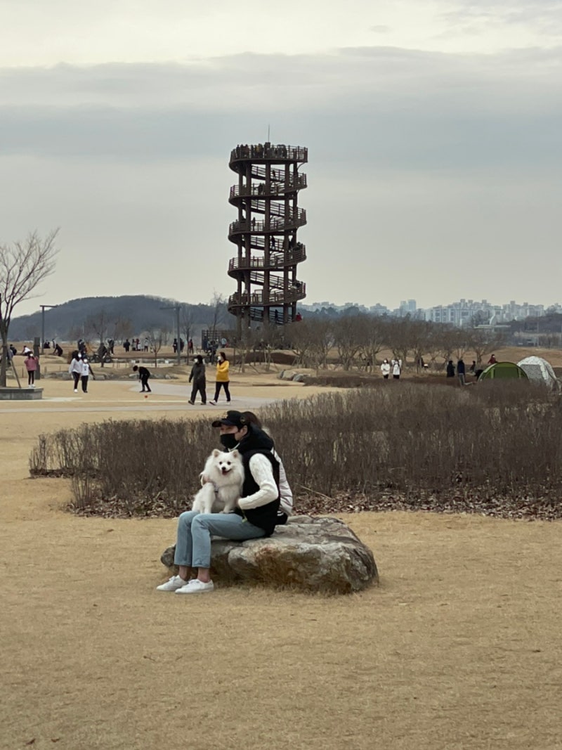 시흥 갯골생태공원 주말 가족 휴식터로 좋은 장소 여기도 봄이 오겠지 네이버 블로그