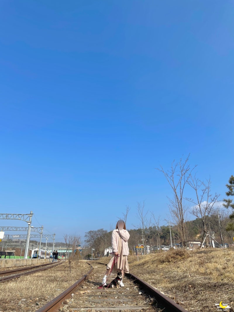 3월여행지춘천애견동반여행춘천여행춘천가볼만한곳김유정역 네이버 블로그
