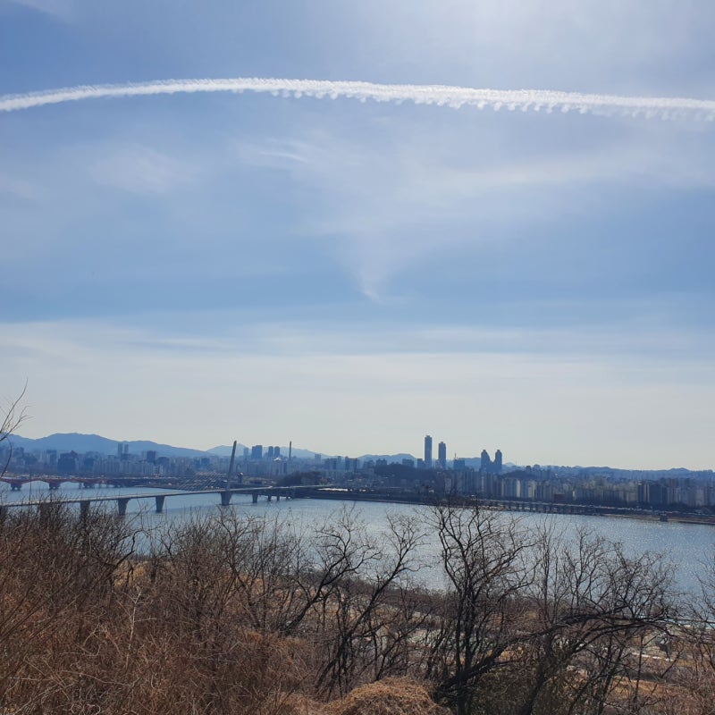 상암 하늘공원 걷기 좋은 힐링 산책길 서울 가볼 만한 곳 네이버 블로그
