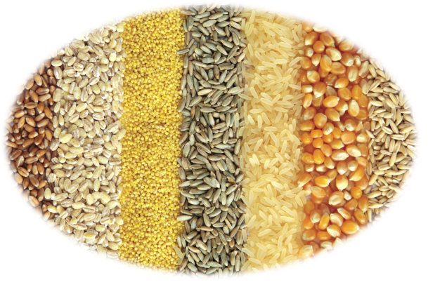 UDY 3010 사이클론 곡물 밀 분쇄기 : 네이버 블로그