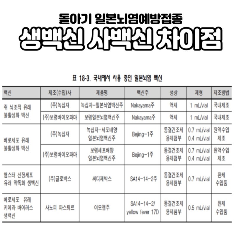 돌아기 일본뇌염 예방접종 생백신 사백신 차이점 사백신이냐 이모젭이냐 선택 ️ 네이버 블로그