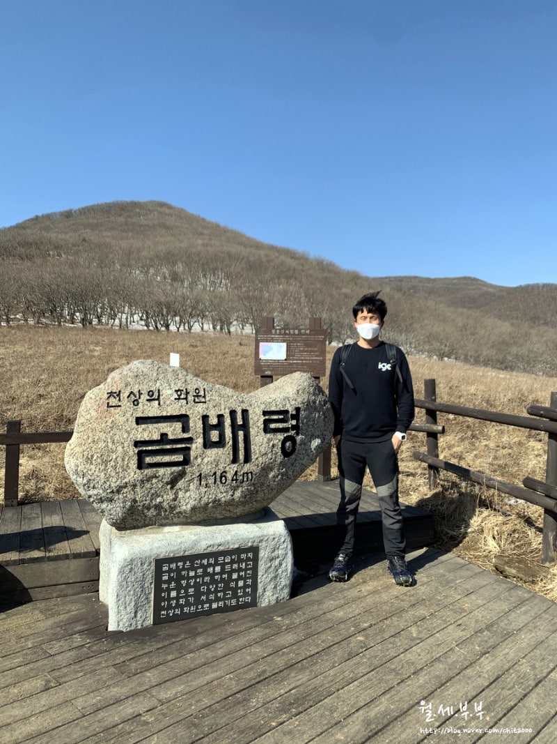 강원도 인제 여행 곰배령 천상의 화원 등산코스 곰배령 예약방법 네이버 블로그