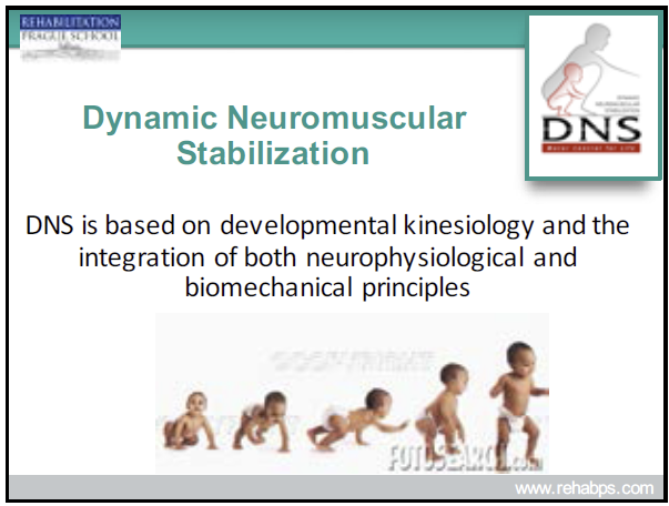 [연재] Dynamic neuromuscular stabilization 리뷰 #4 : 네이버 블로그
