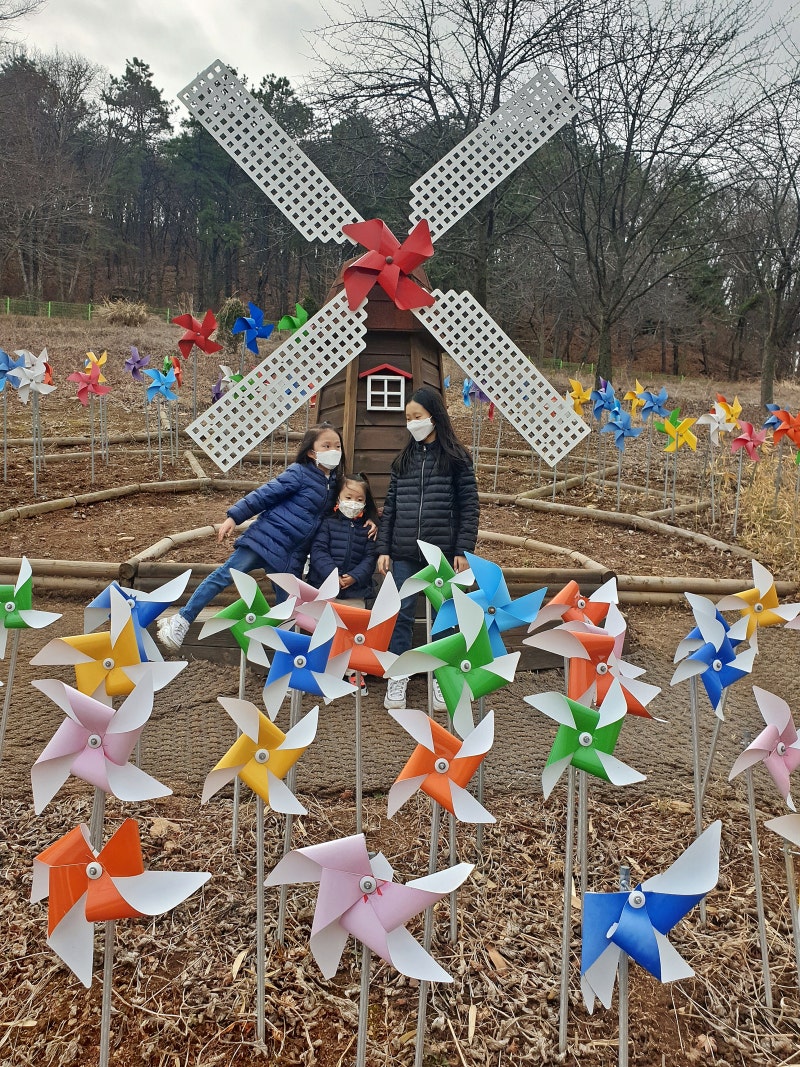 김포 아이와 가볼 만한 곳 태산 패밀리파크 텐트 설치 배달 취사 정보 네이버 블로그