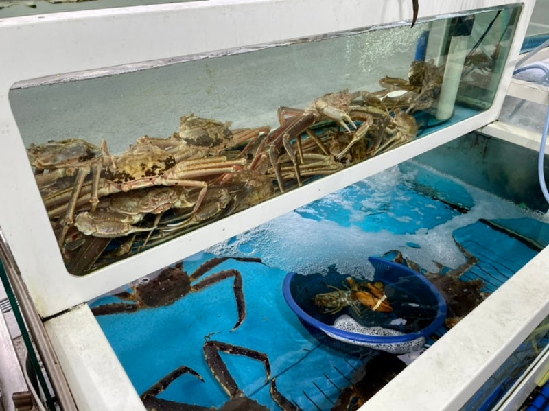 하남수산물시장 유진수산에서 킹크랩모둠회 먹고왔어요 네이버 블로그