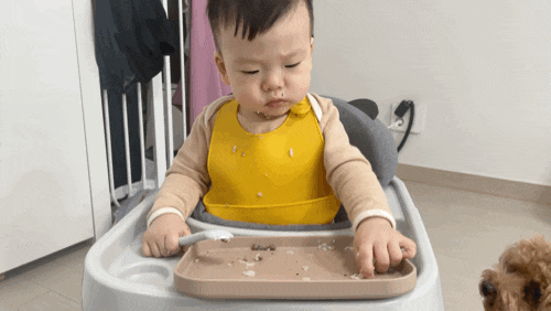 10개월 아기일상 나도 돌준맘 소규모 무료 돌상 식당 예약 네이버 블로그