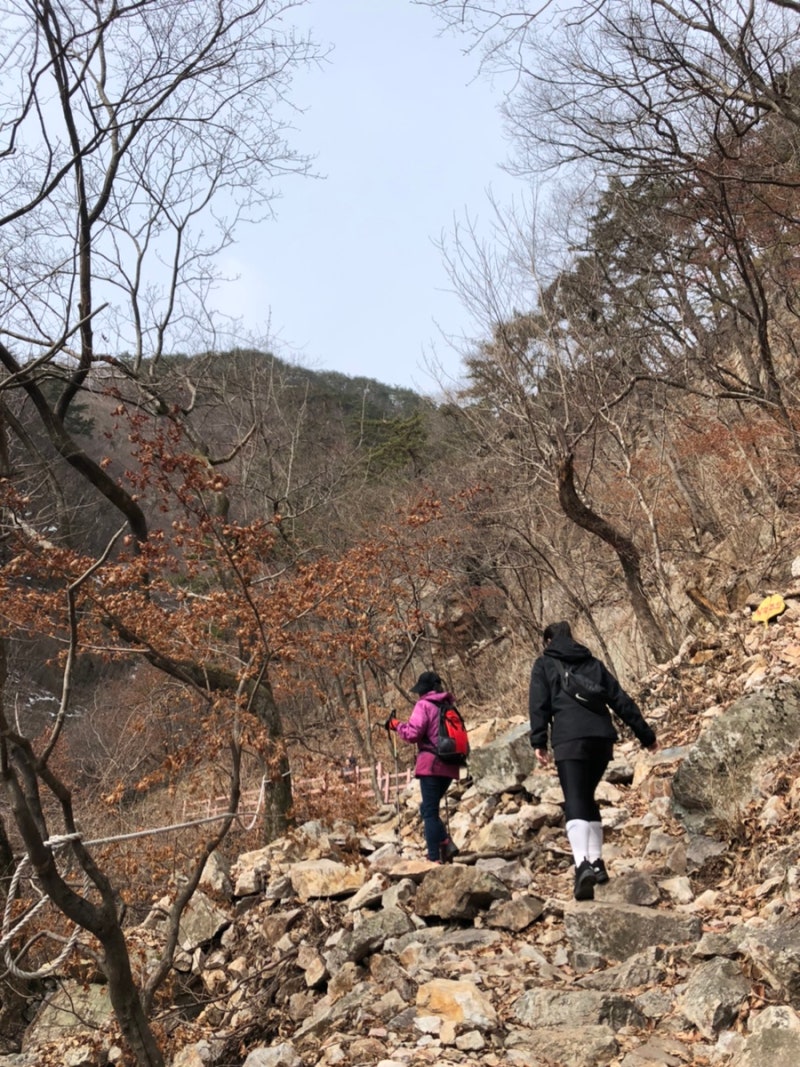 양평 용문산 등산코스 생각없이 갔다가 4시간만에 하산했어요 네이버 블로그