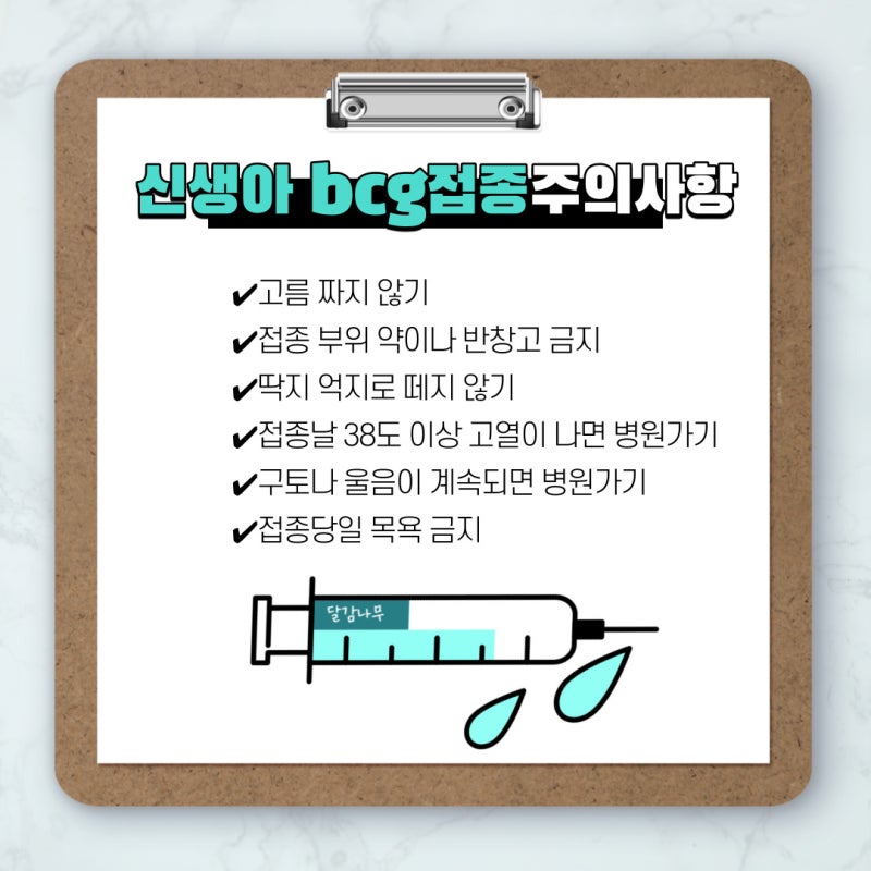 신생아 Bcg접종 시기 주의사항 Bcg 피내용 경피용 차이점 총정리 네이버 블로그