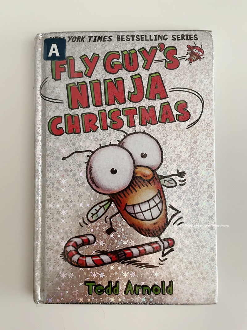 Fly guy’s Ninja Christmas + 활동지 공유 : 네이버 블로그
