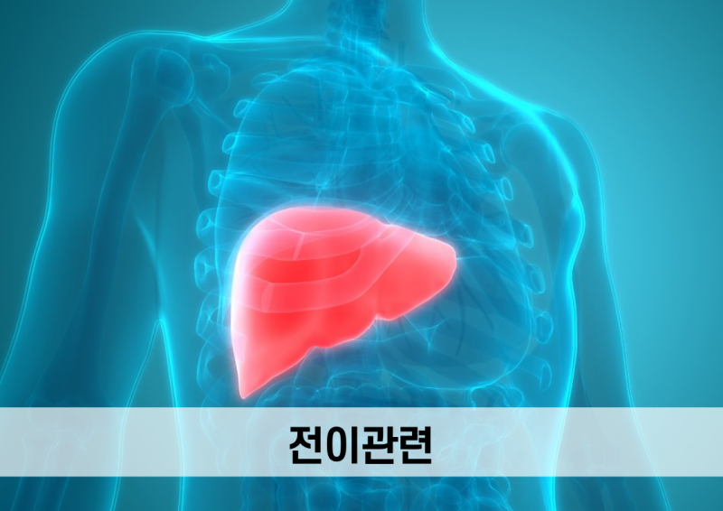 간암 1기 초기 증상 위험요인 진단방법 진행단계 치료방법 네이버 블로그