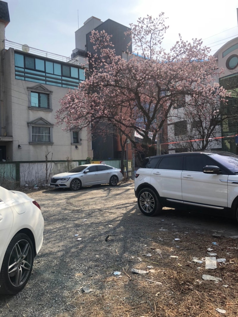여자 염색 추천 탈색없이 애쉬브라운 수성구 두산동미용실 살롱드마리아 네이버 블로그