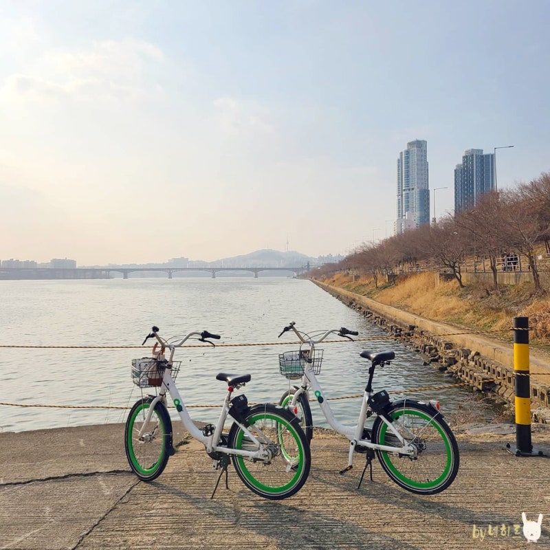 서울 따릉이 이용방법 뚝섬한강공원 자전거 코스 네이버 블로그