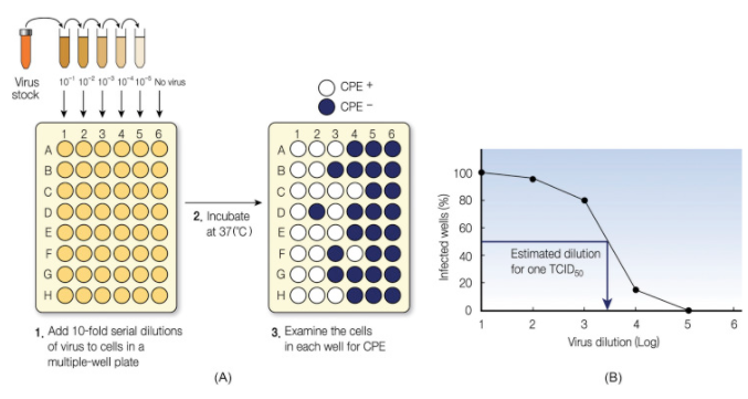 코로나시대, 생활용품에 대한 항균능평가 및 항바이러스능 평가_한국의과학연구원 미생물분석센터 : 네이버 블로그
