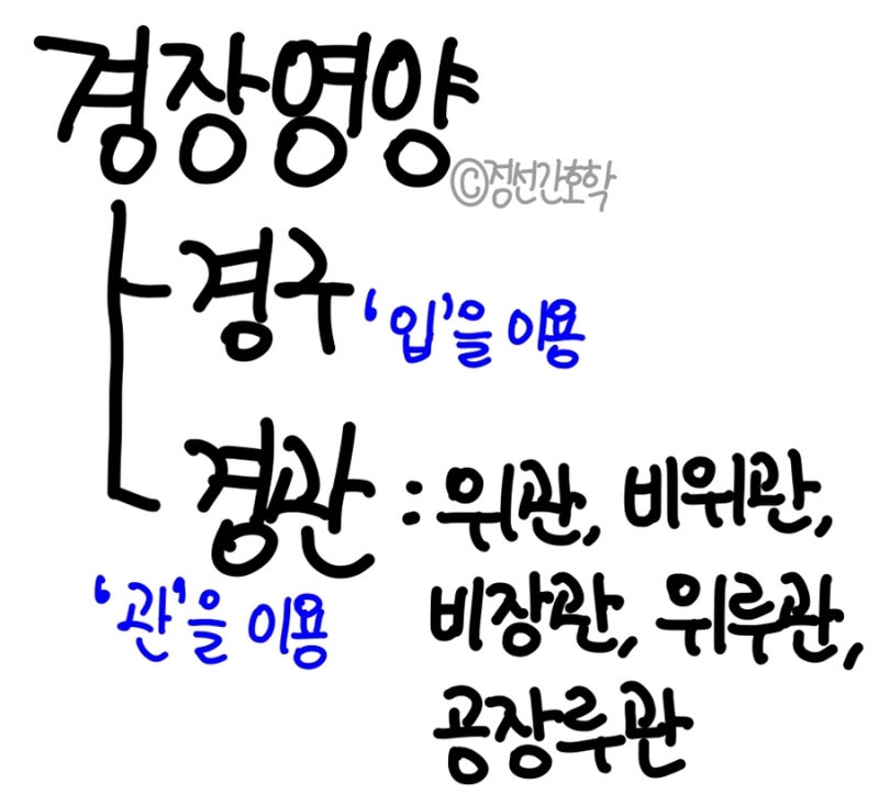 간호학과 핵심간호술 공부 08 간헐적 위관영양 선행지식과 간호기록 절차 정리하면서 핵심술기 마스터하기 네이버 블로그