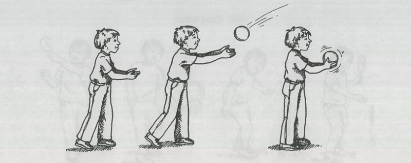 [대근육 운동능력 평가도구] TGMD-3(Test of Gross Motor Development) : 네이버 블로그