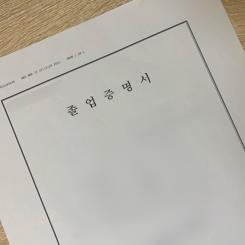 영양사 면허증 발급하기발급방법 서류 5가지면허증 사진 변경 네이버 블로그