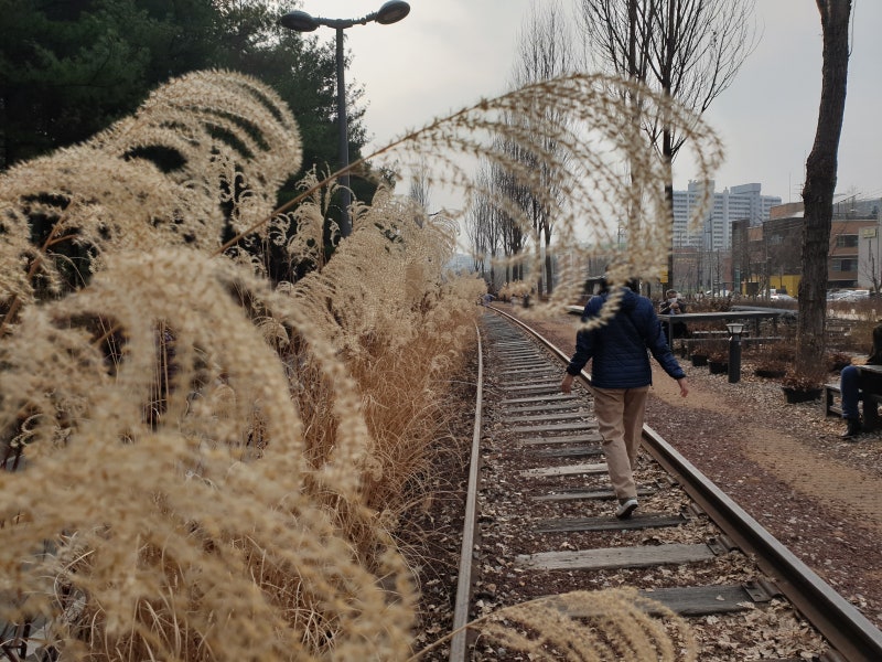 서울노원구 경춘선숲길 경춘철교 공릉도깨비시장 서울데이트코스서울걷기좋은길화랑대철도공원경춘선숲길주차장 네이버 블로그