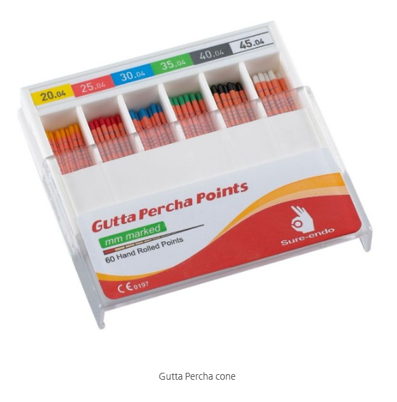 신경치료 이야기 4~ 신경치료에 사용하는 충전재료 : 네이버 블로그