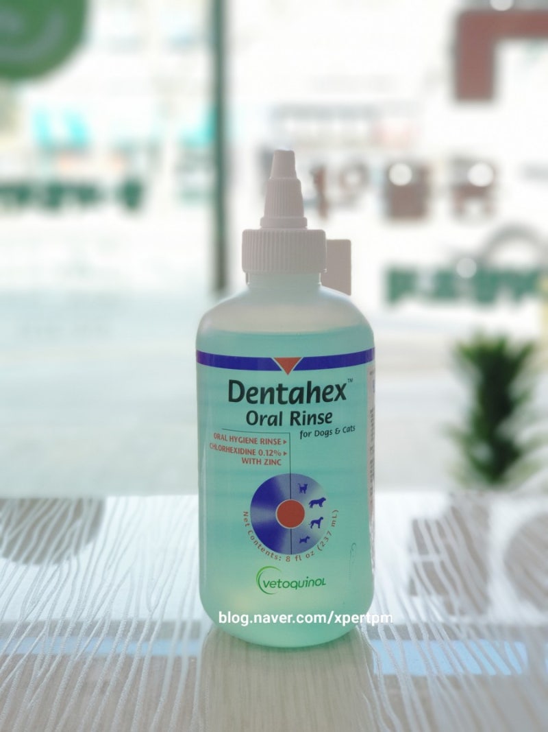 덴타헥스 오랄린스 Dentahex Oral Rinse 강아지,고양이 잇몸세정 동물약국 청주동물약국 늘봄동물약국 : 네이버 블로그