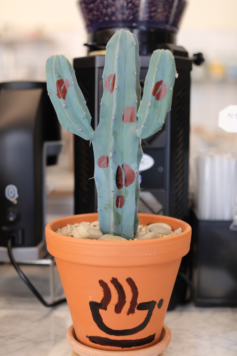 [파주출판단지 카페] 카페 오시 / Cafe OSI : 네이버 블로그