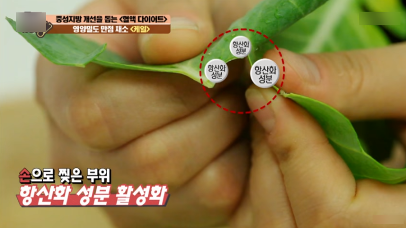 케일 효능과 부작용 해독주스 먹는법 네이버 블로그