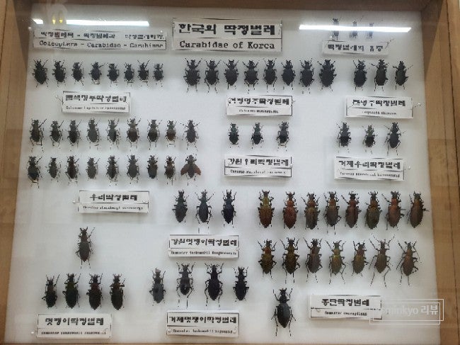 영등포 영등포곤충체험학습장 영등포구 구청 옆 코스트코 옆 네이버 블로그