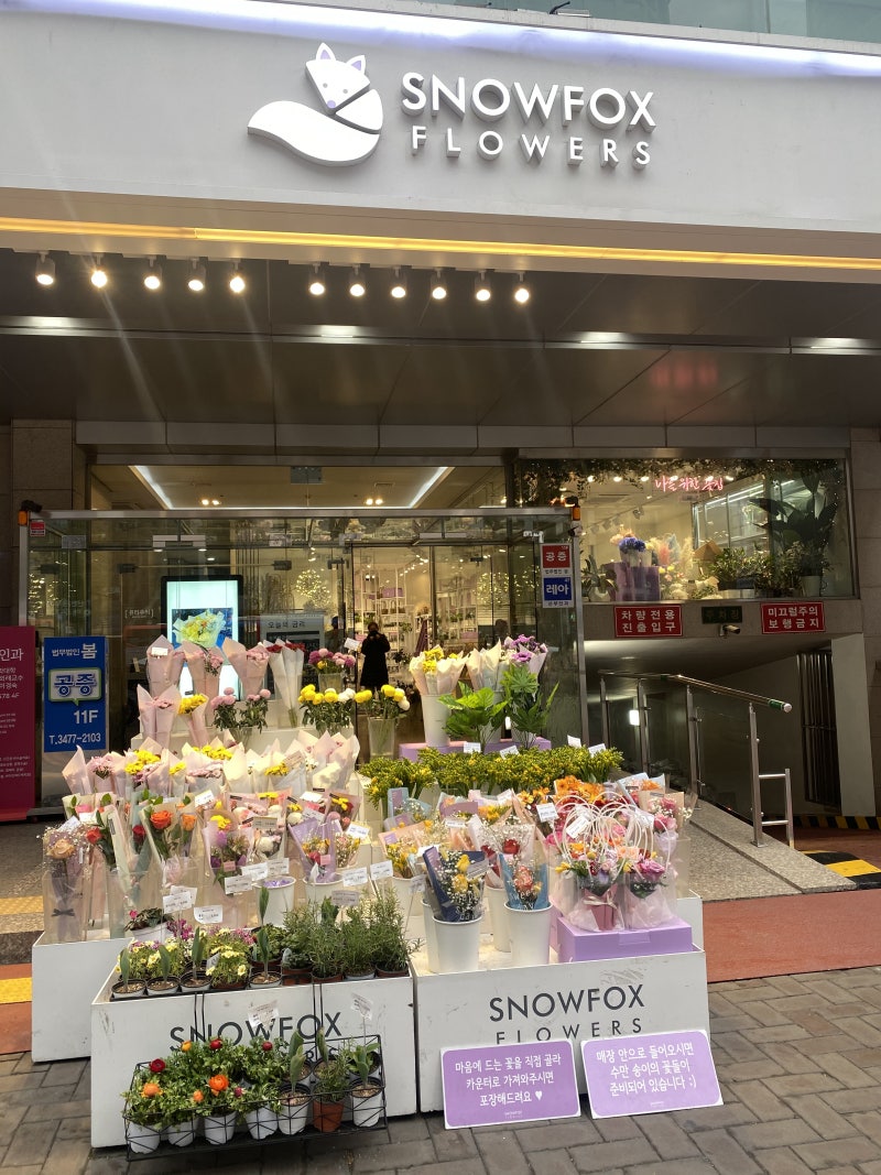 스노우폭스 플라워 강남역점 강남 가성비 꽃집 강남역 화분 네이버 블로그
