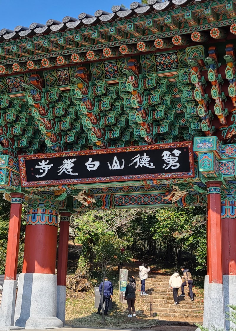 전라도 강진여행 다산명가민박우리식당가우도출렁다리다산초당백련사동백꽃강진백반기행강진만 네이버 블로그